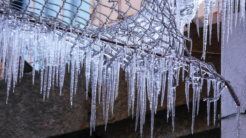 Alerta por frío en Madrid: heladas y sensación térmica de 4 grados bajo ...