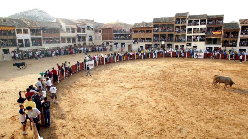 Plaza del Coso de Peñafiel, de palenque para justas y torneos a ...