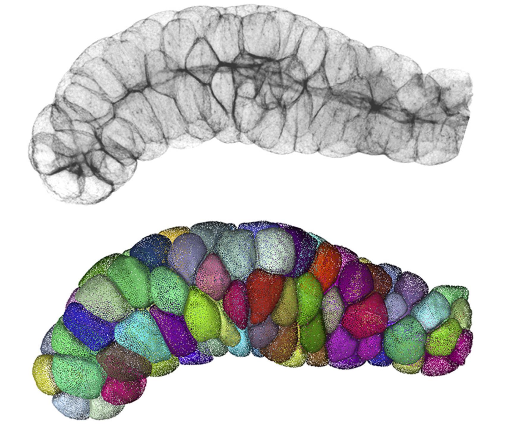 "¡De Escudero, escutoide!": la increíble historia del sevillano que ...
