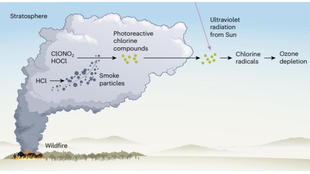 La capa de ozono vuelve a abrirse por el humo de los últimos incendios ...