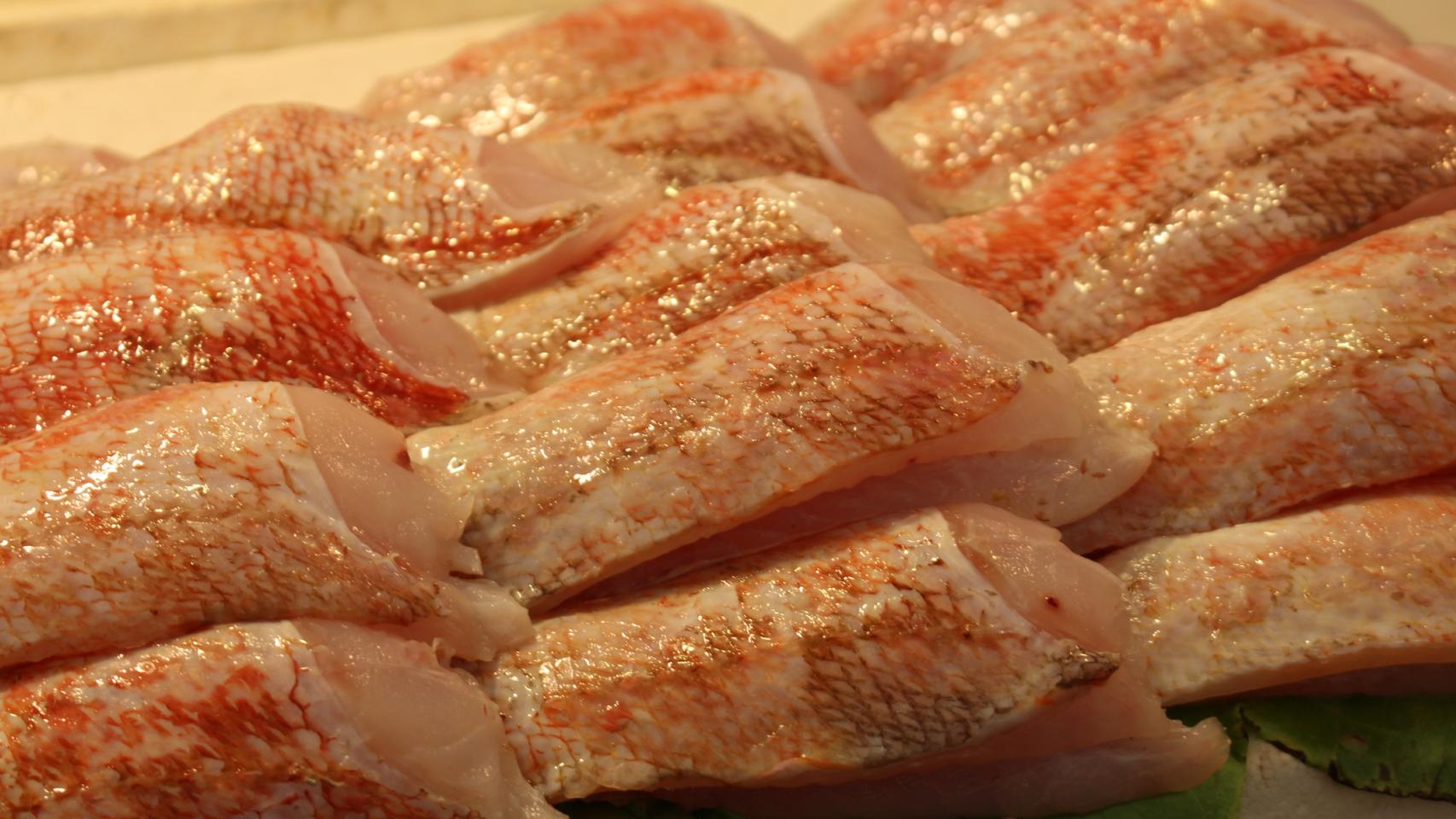 El pescado español desconocido que los 'nutris' recomiendan: es una ...