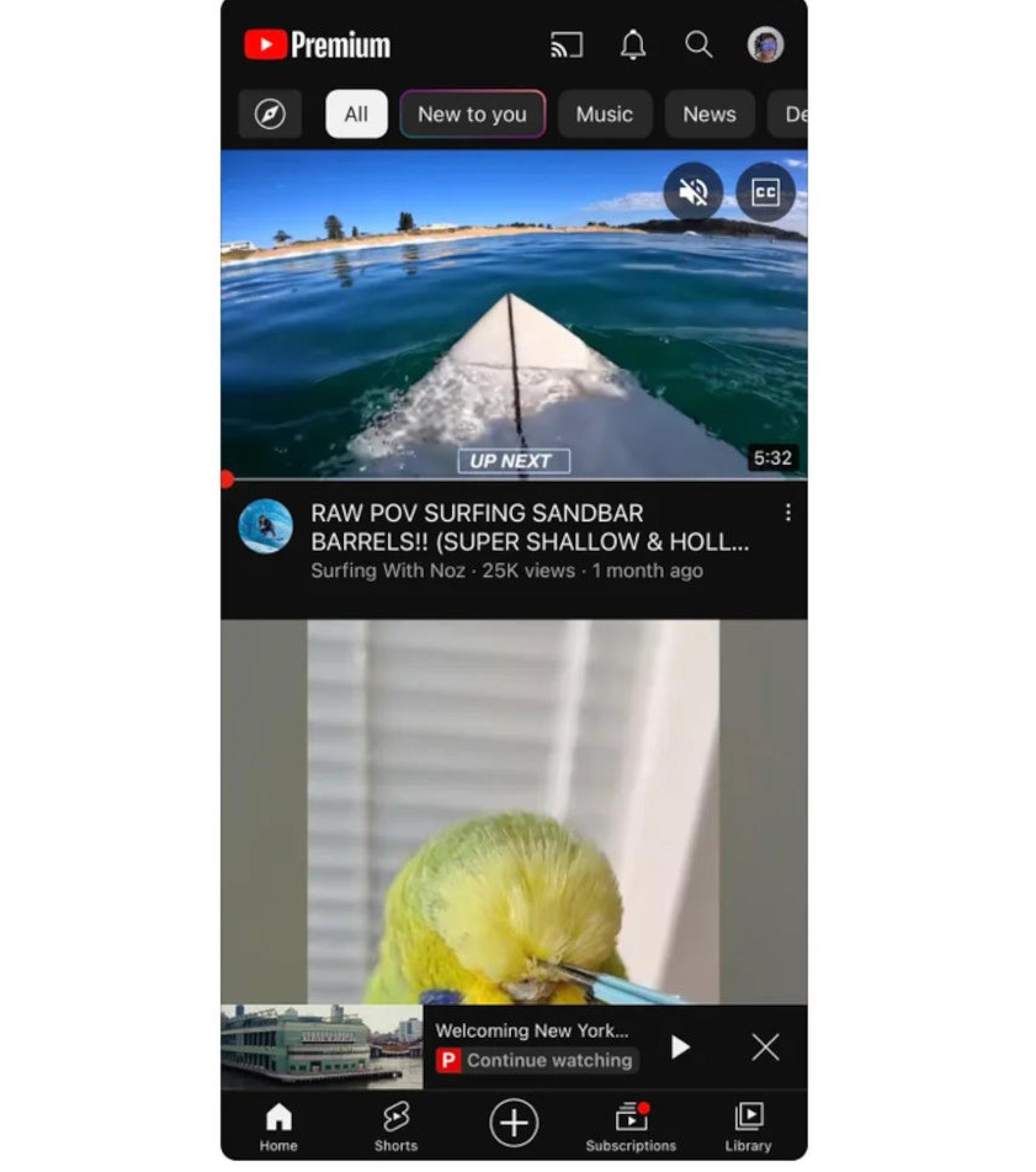 ¿Deberías pagar por YouTube Premium? Esto es lo que te puede hacer ...
