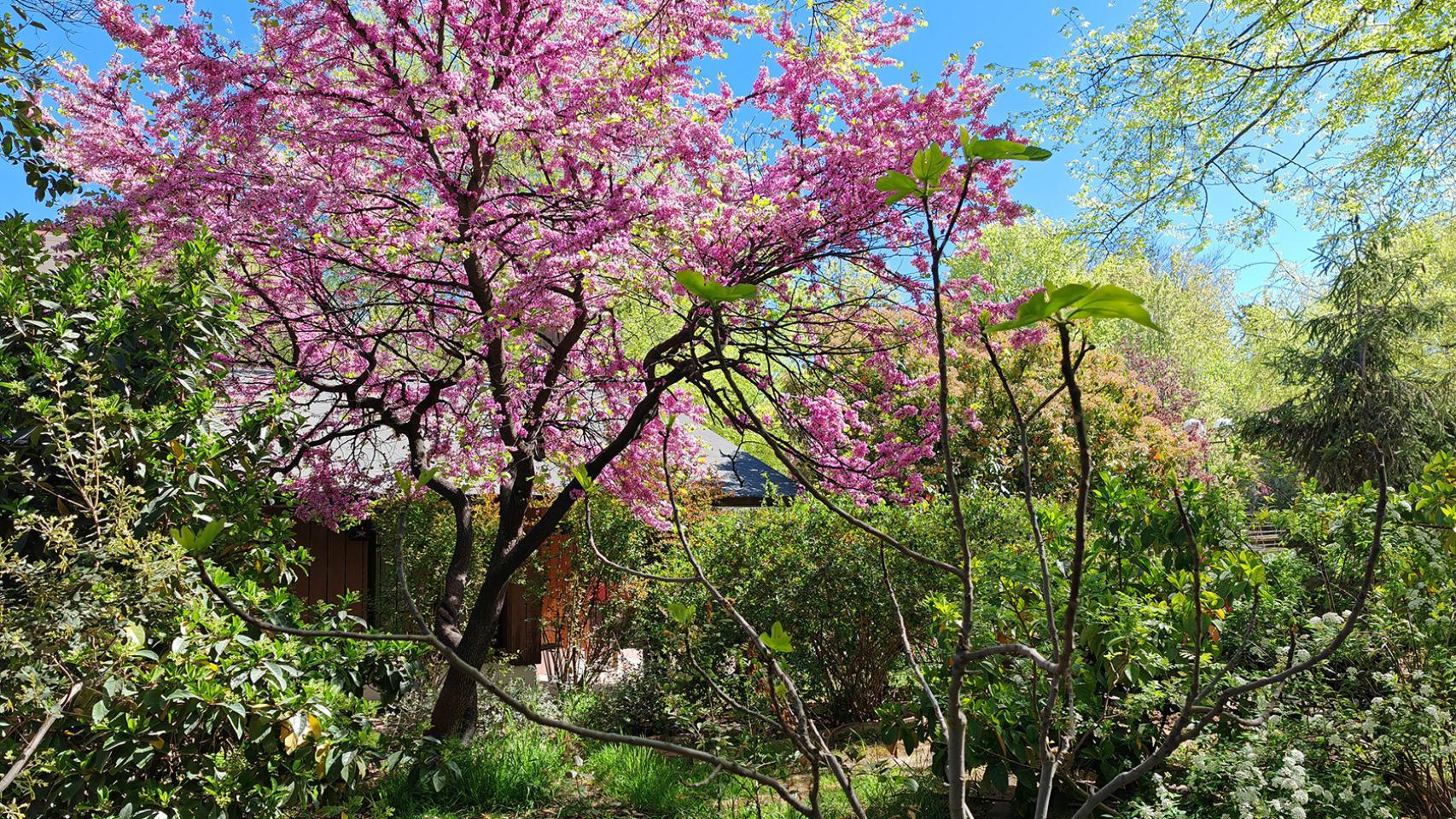 Honor Magic 5 Pro, análisis: un flagship superior a un gran precio si ...