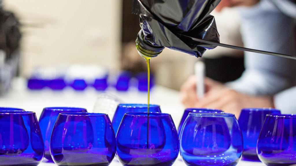 Los 5 aceites de oliva españoles que están en el Top10 de los mejores ...