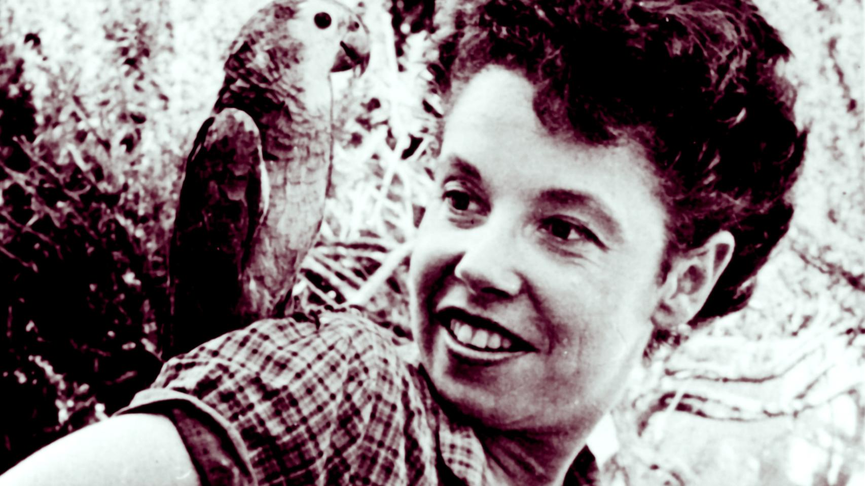 Jane Bowles a los 50 años de su muerte: turbulencias y fuegos ...