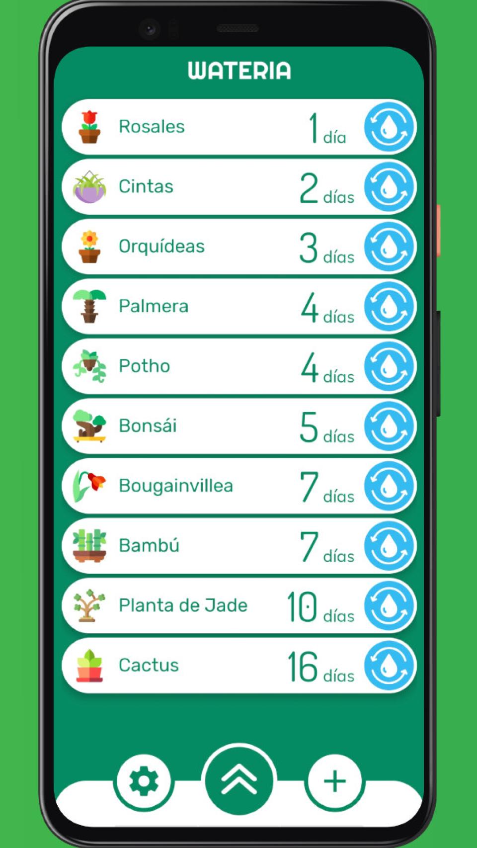 Descubre las 4 mejores apps que te ayudarán a cuidar tus plantas