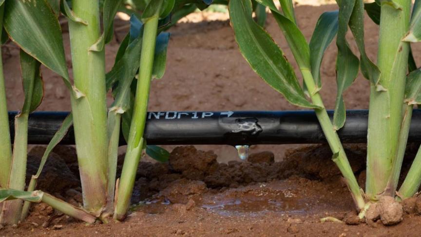 El ingenioso invento para evitar la sequía: permite regar el campo ...