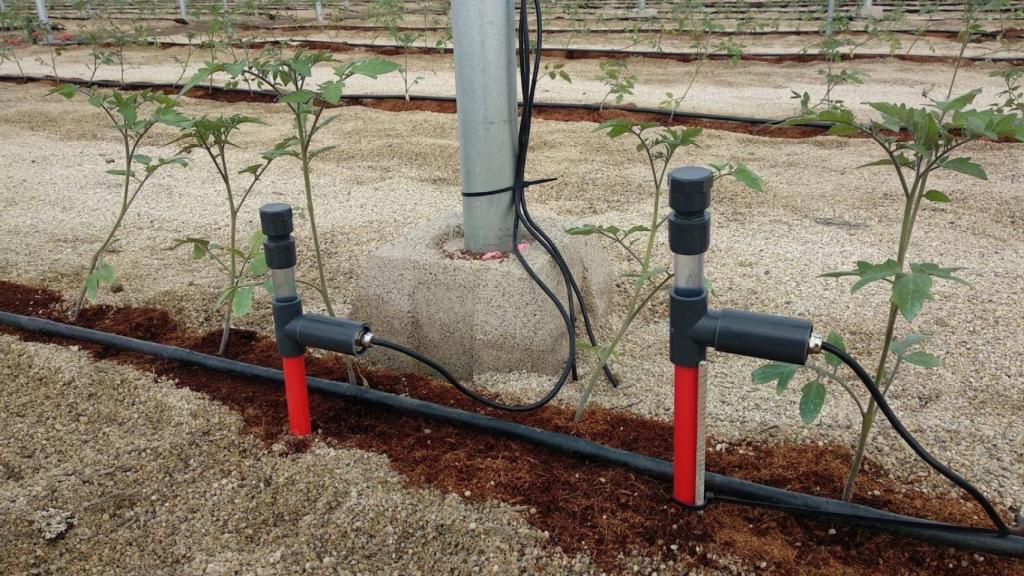 El invento español que usa inteligencia artificial para regar el campo ...