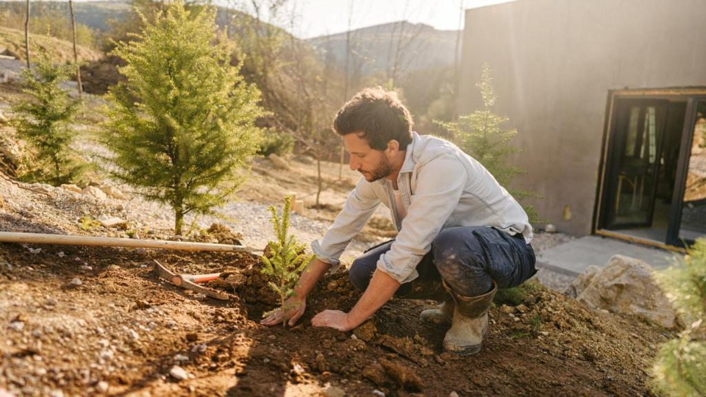 ¿Cuántos árboles por persona habría que plantar para evitar el desastre ...
