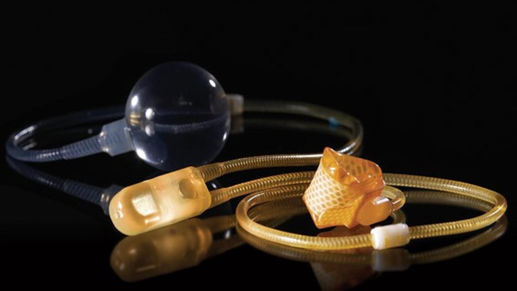 La técnica del esfínter artificial femenino robótico que acaba con la ...