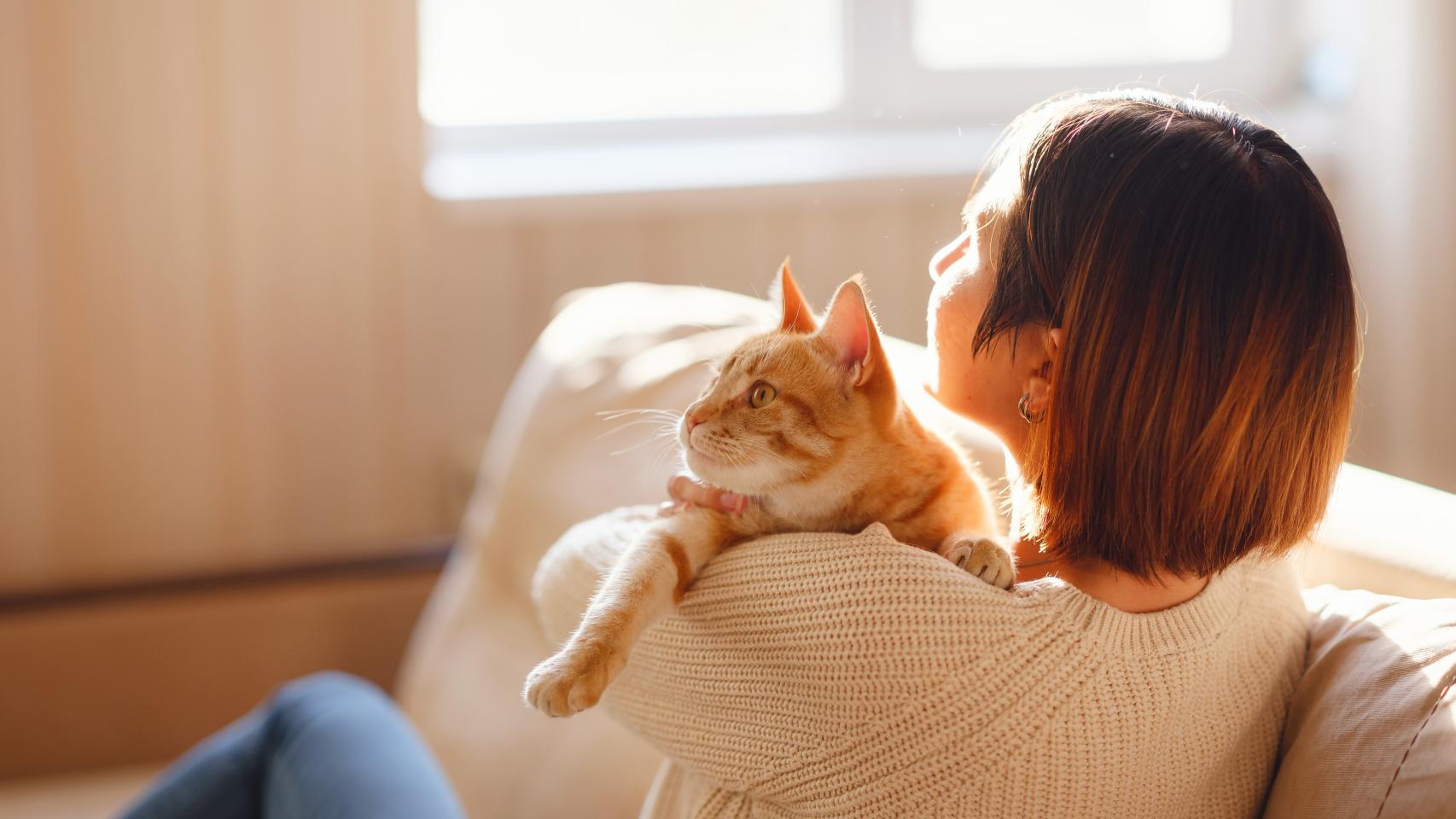 ¿Tus gatos te ignoran? Esto es lo que deberías hacer para atraer su ...