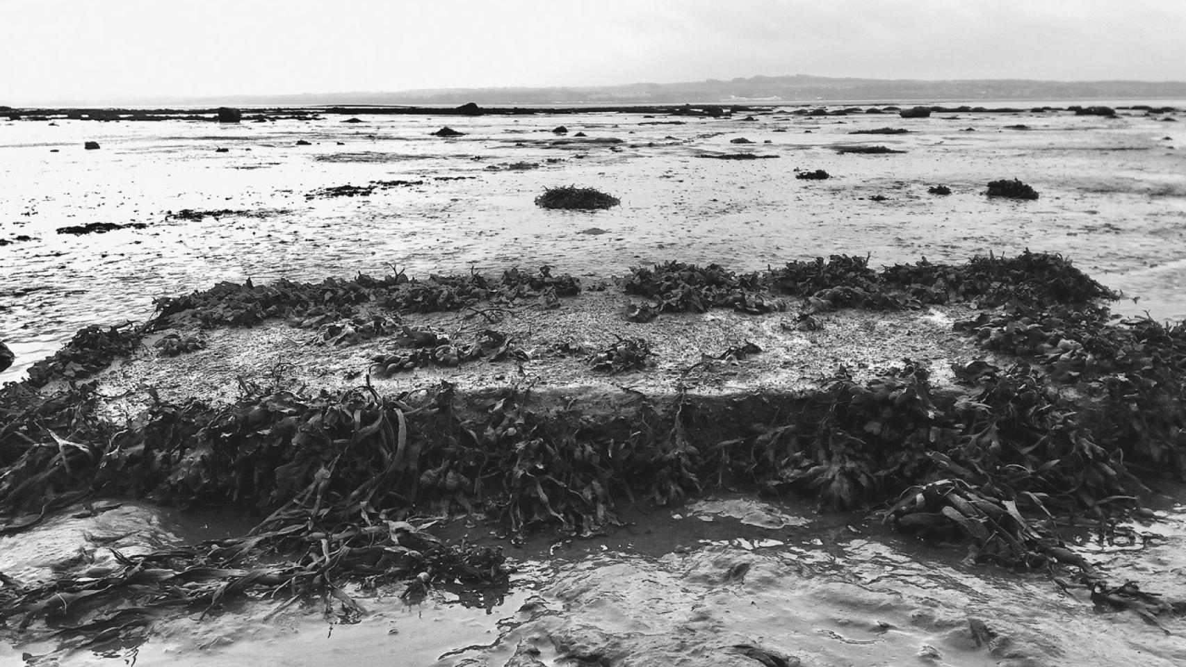 La bruja enterrada bajo el mar para evitar su magia y otras historias ...