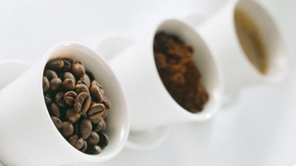 Harmol, el compuesto que aumenta la esperanza de vida: estos son los ...