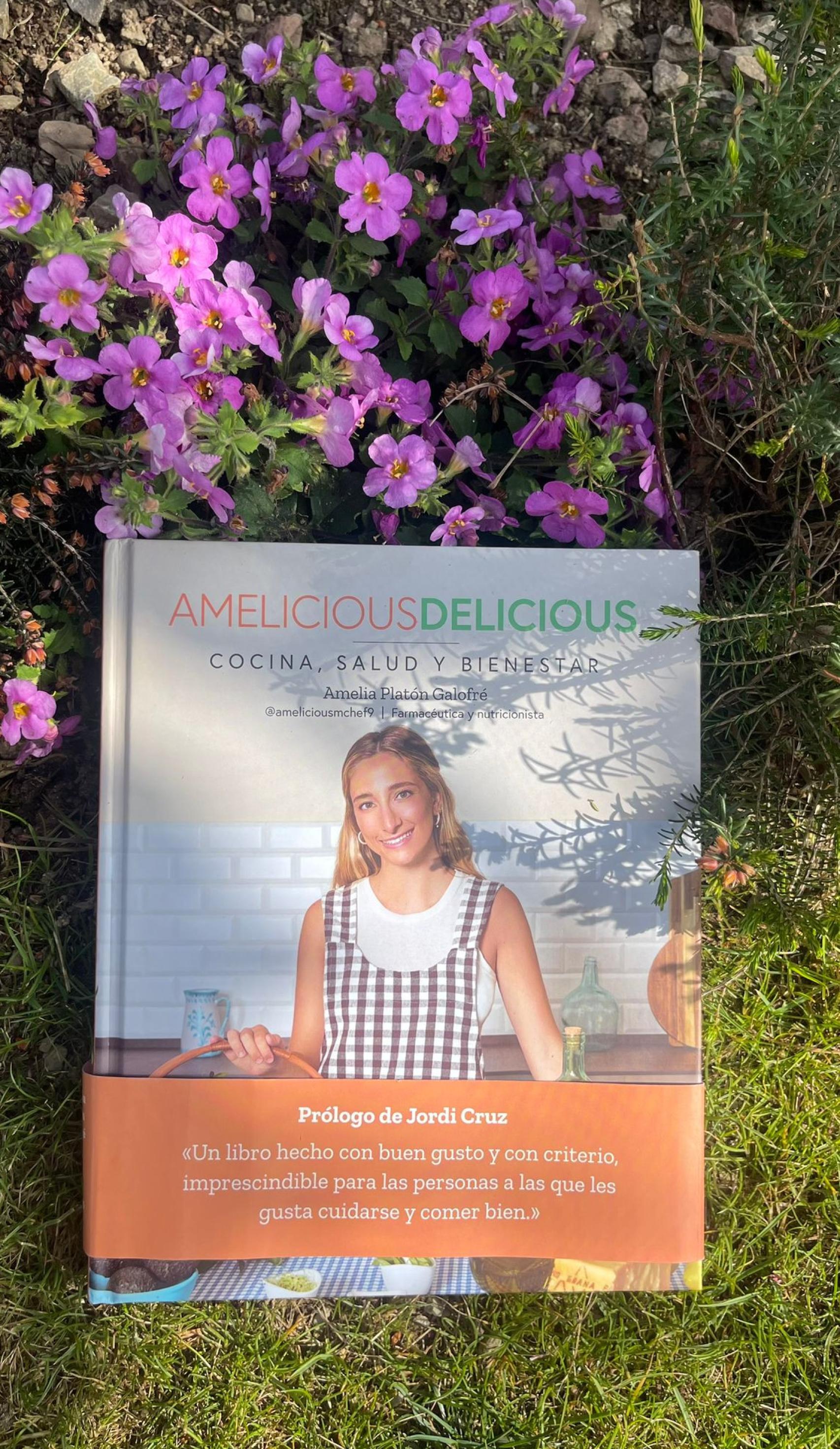 El legado de Amelicious: más que un libro de recetas de cocina para ...
