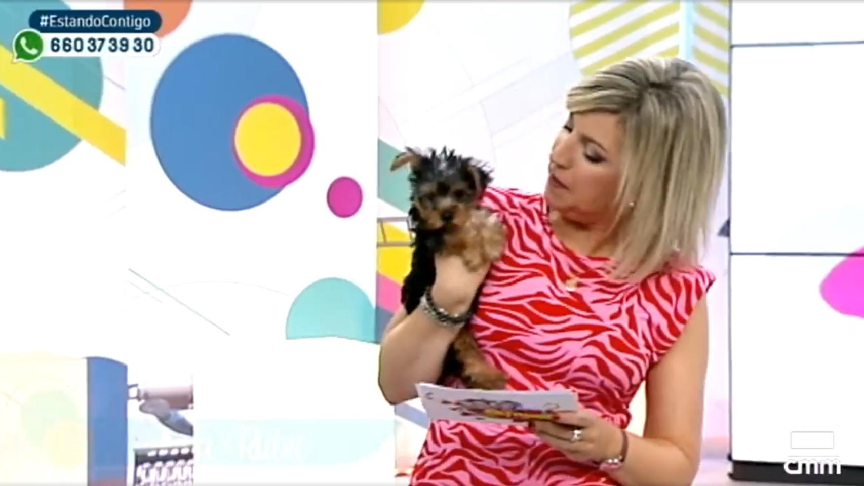 Un perro vomita sobre Julia Rubio en ‘Estando contigo’: “Me ha echado ...