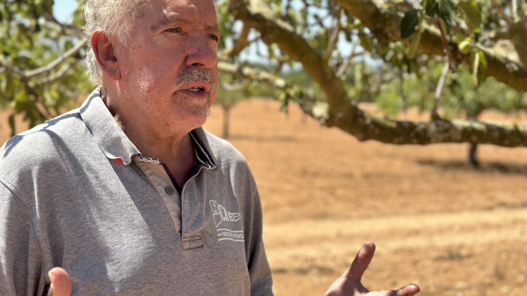 El sabio de los higos que cultiva más de 1.400 variedades de todo el ...