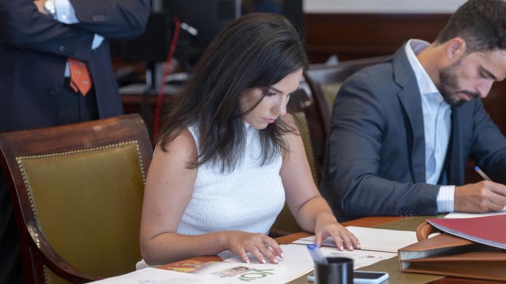 Pepa Millán, la 'canterana' nueva portavoz de Vox: columnista, taurina ...