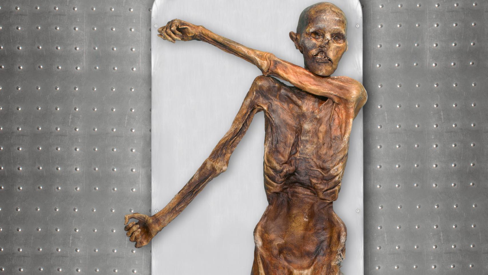 El ADN desvela los secretos de Ötzi, el hombre de los hielos: era calvo ...