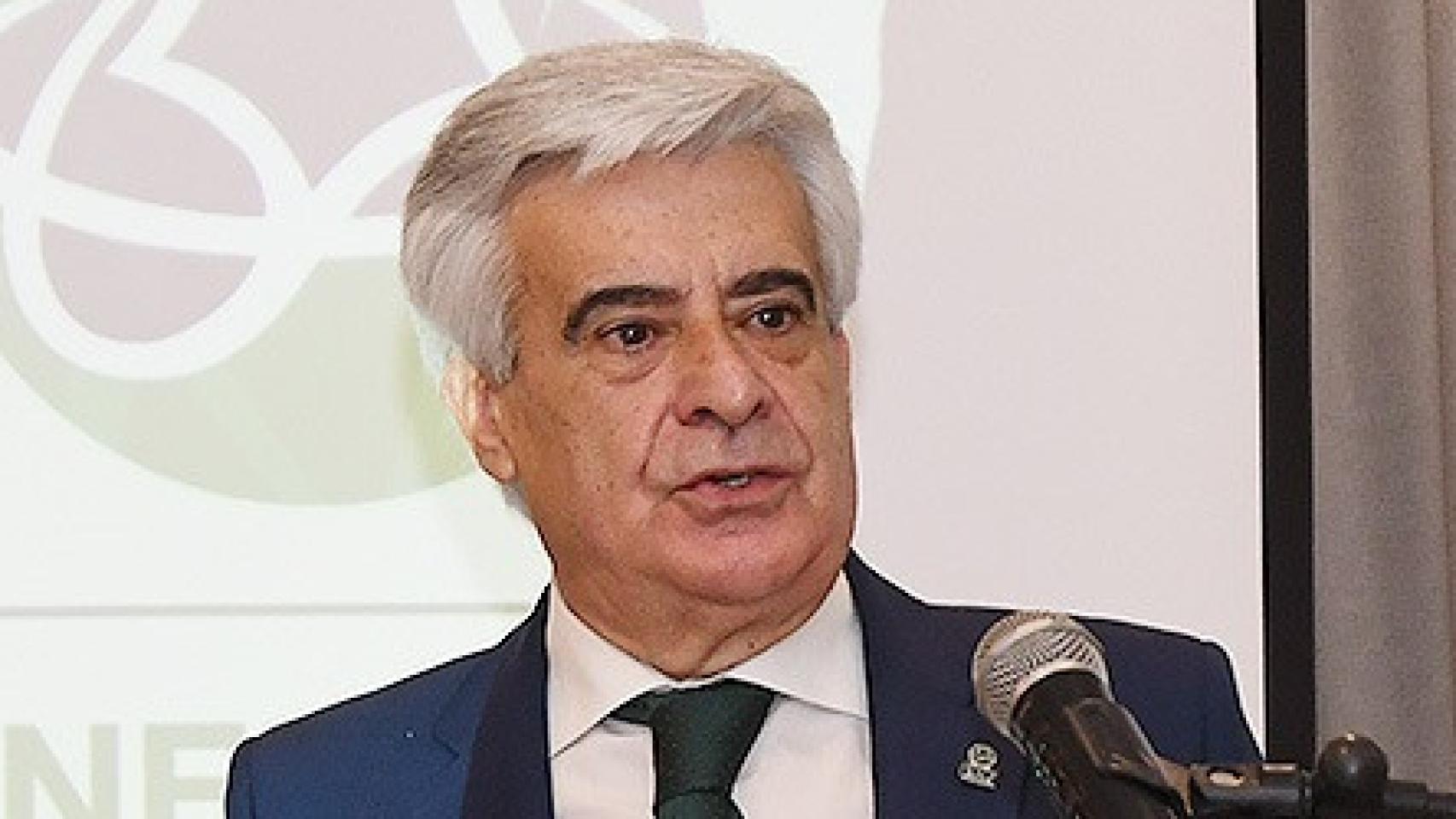 Quién es Pedro Rocha, el máximo favorito para sustituir a Luis Rubiales ...