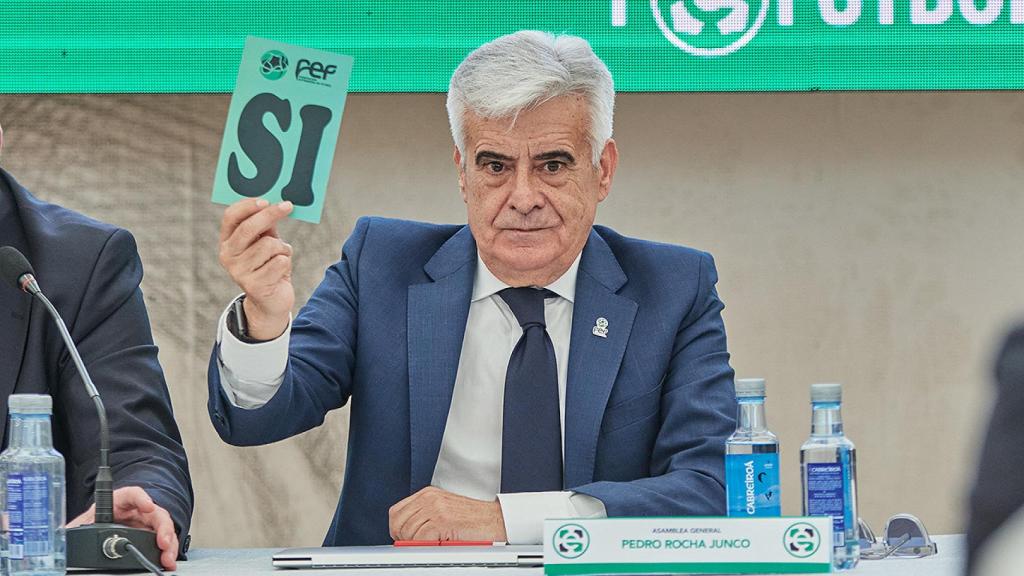 Pedro Rocha, nuevo presidente de la RFEF tras la suspensión de Luis ...