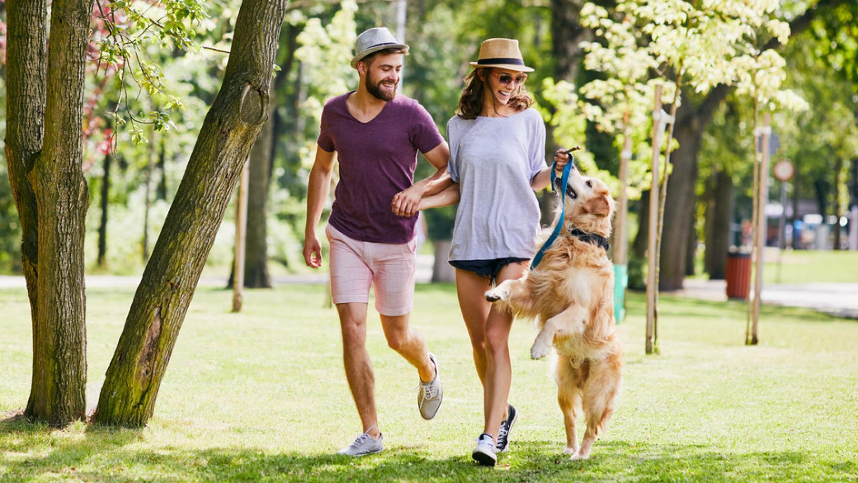 Qué son las parejas DINKS: el nuevo concepto de familia que está aumentando en España