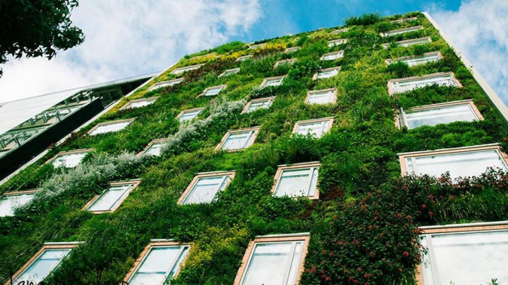 Este botánico de Alicante convierte edificios de todo el mundo en ...